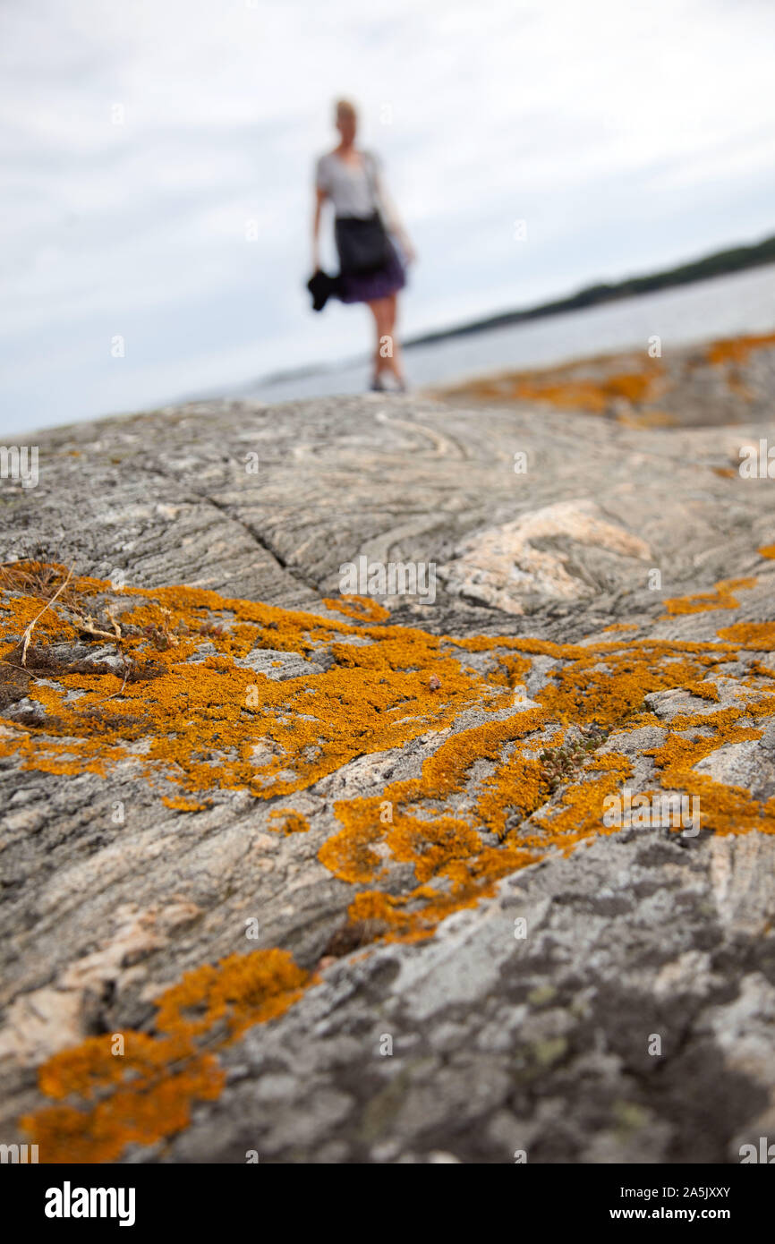 The island of Donsö in Gothenburg's southern archipelago. Cliffs in the ...