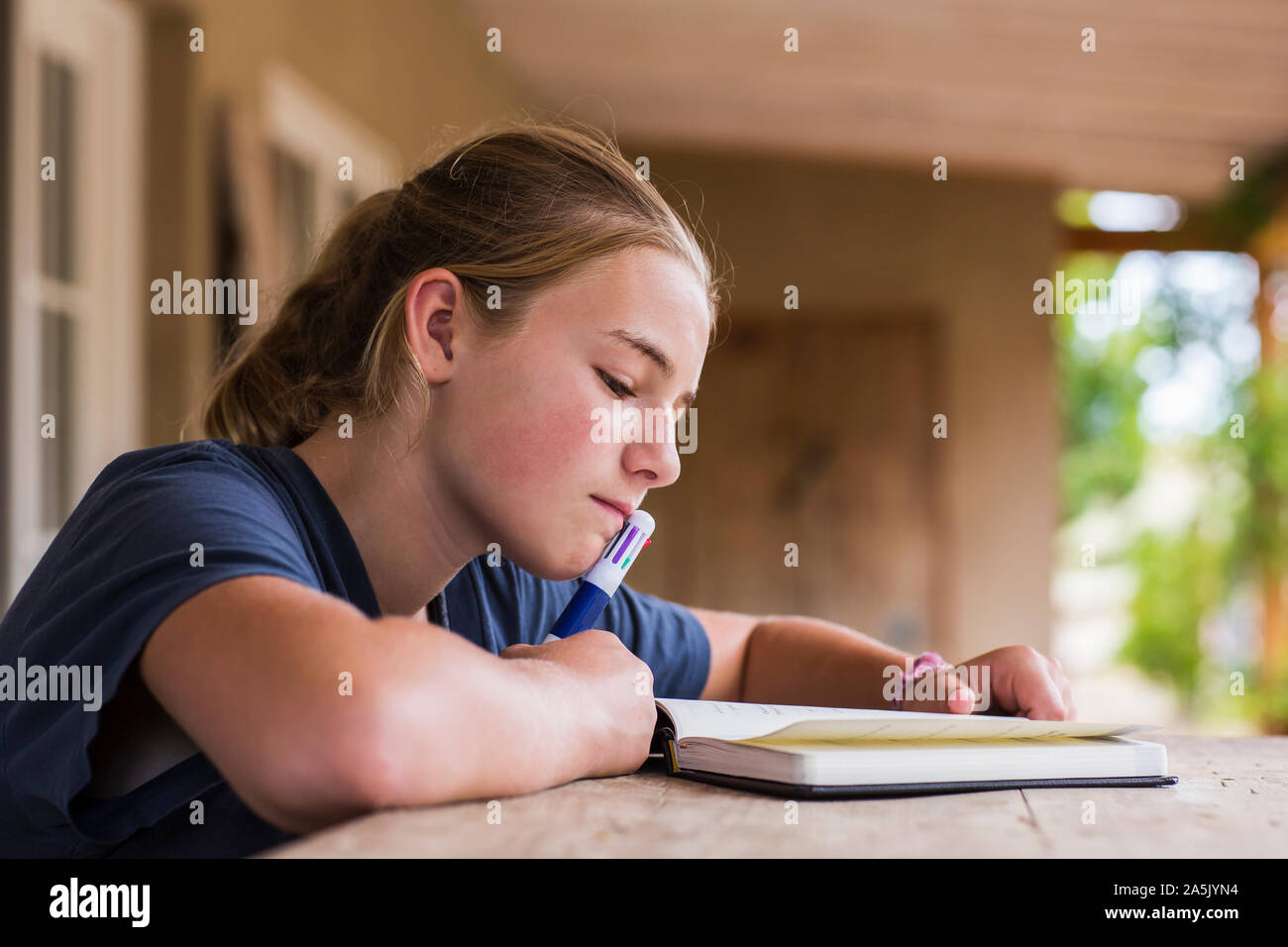 Teen girls diary hi-res stock photography and images - Alamy