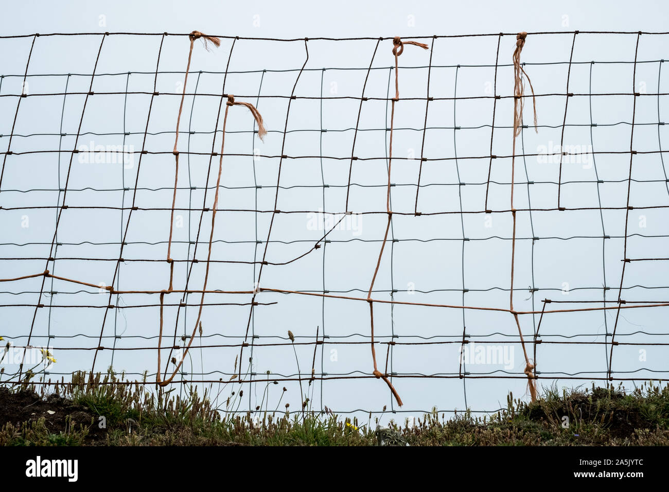 Broken Mesh Fence High Resolution Stock Photography and Images - Alamy