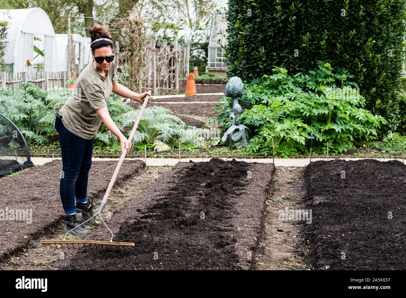 Woman raking freshly laid bed of soil in a vegetable garden Stock Photo ...