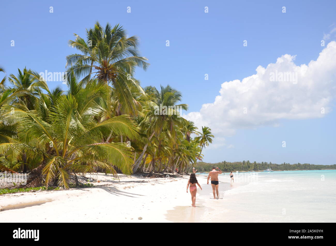 Island Dominican Republic Stock Photo - Alamy