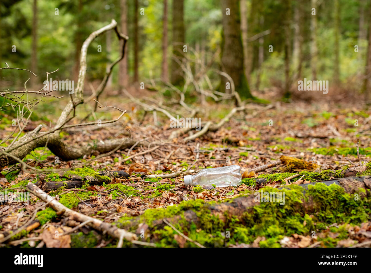 Single use plastic and rubbish decaying in natural woodland environment ...