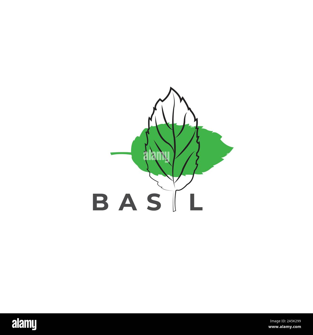 Basil vector illustration. Basil emblem Stock Vector Image & Art - Alamy
