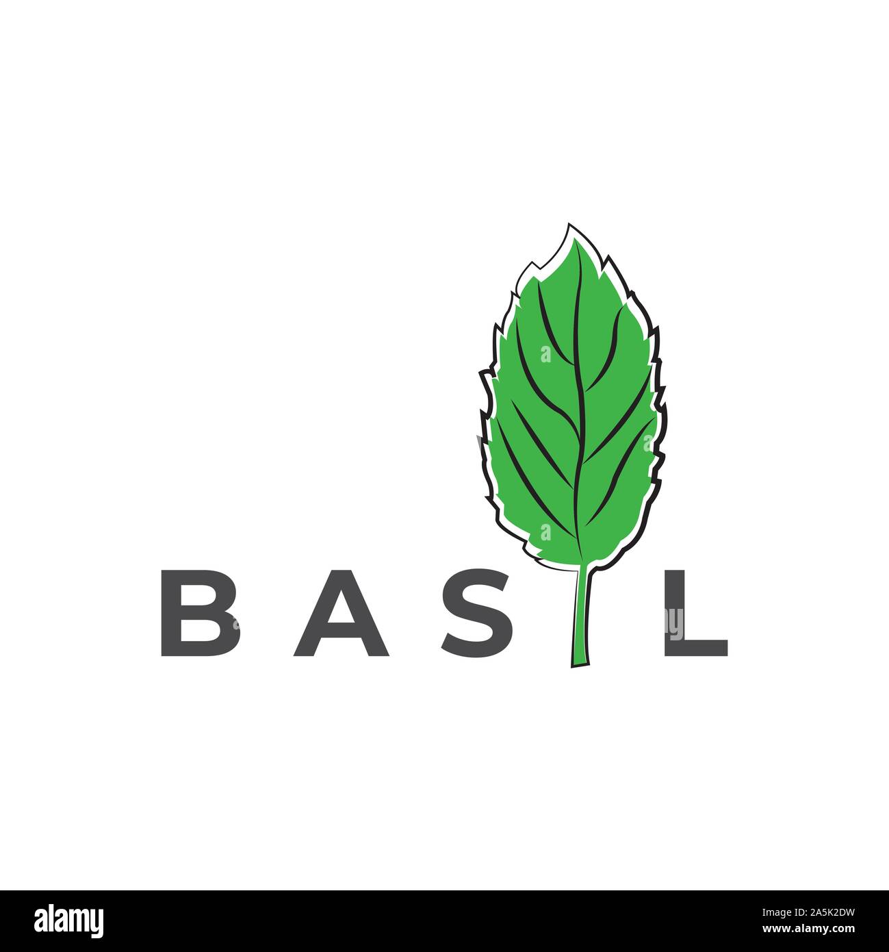 Basil vector illustration. Basil emblem Stock Vector Image & Art - Alamy