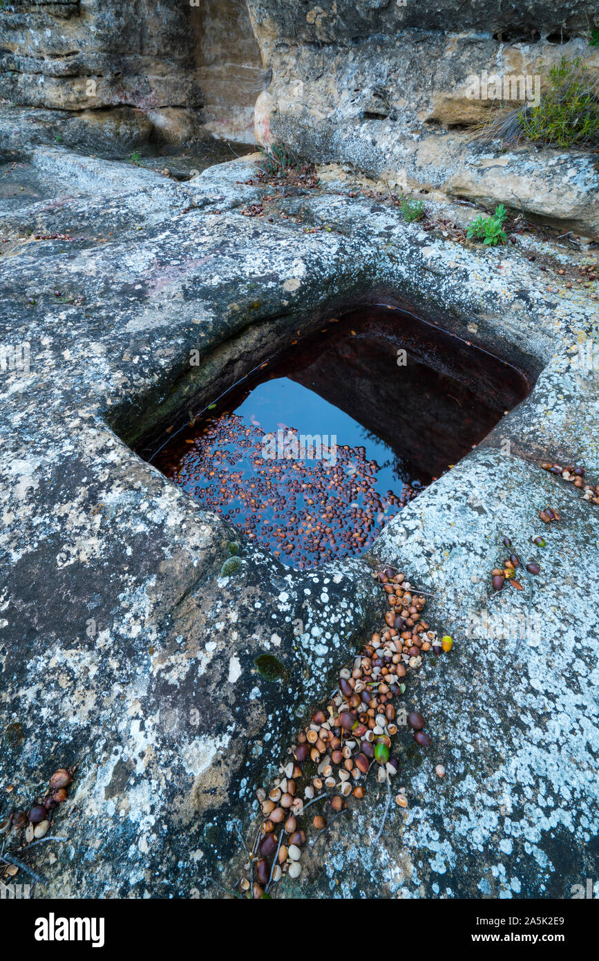 Prensa y Lagar rupestre Zabala, Peciña, La Rioja, Spain, Europe Stock ...
