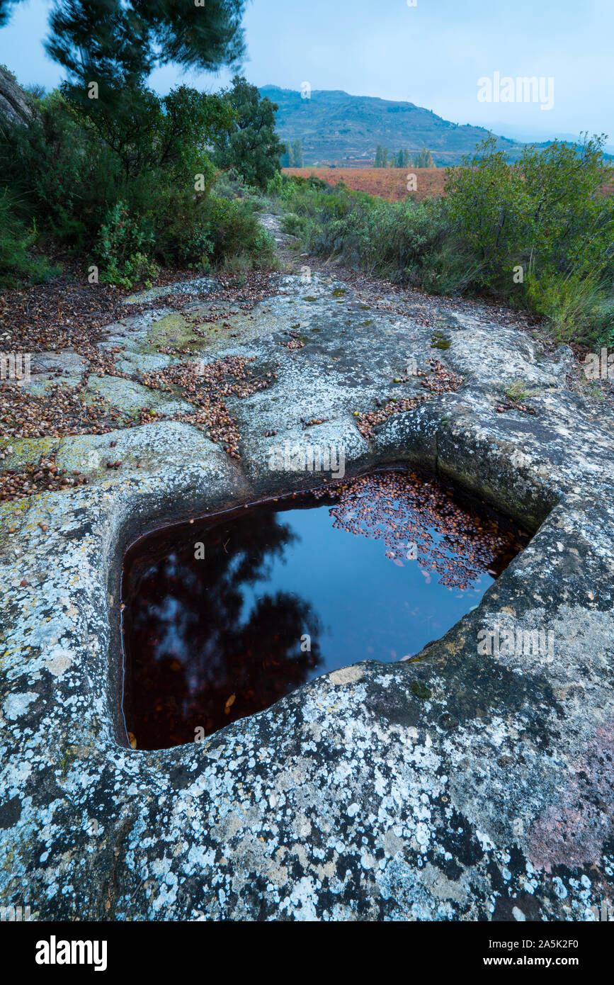 Prensa y Lagar rupestre Zabala, Peciña, La Rioja, Spain, Europe Stock ...