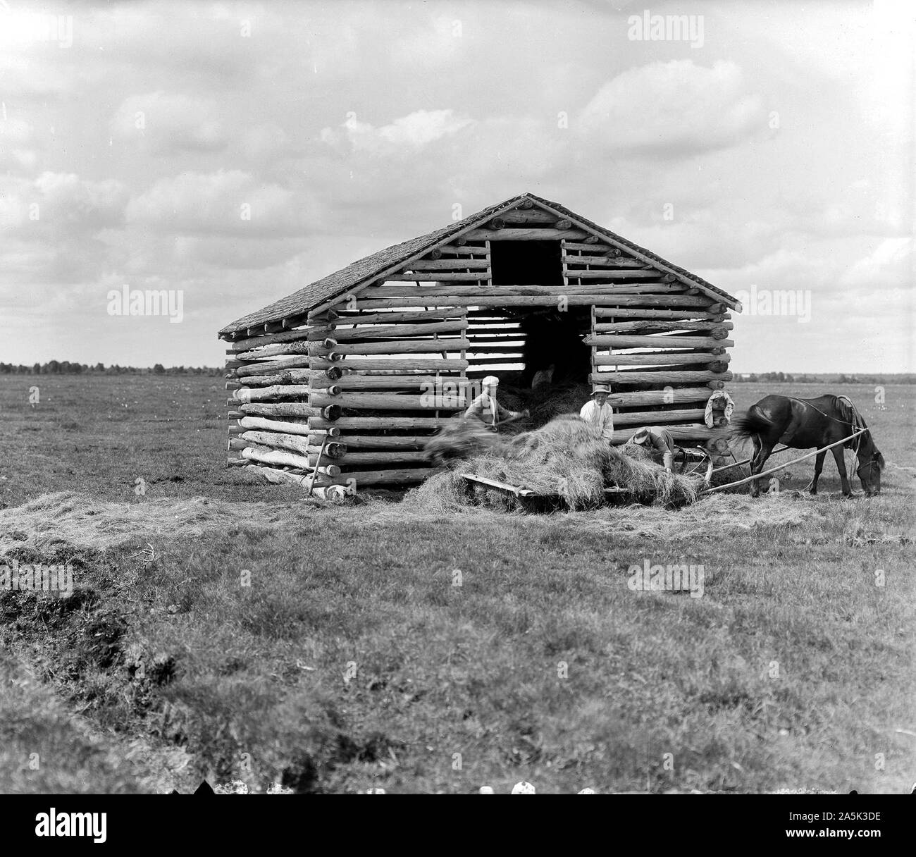 1890s finland farm hi-res stock photography and images - Alamy