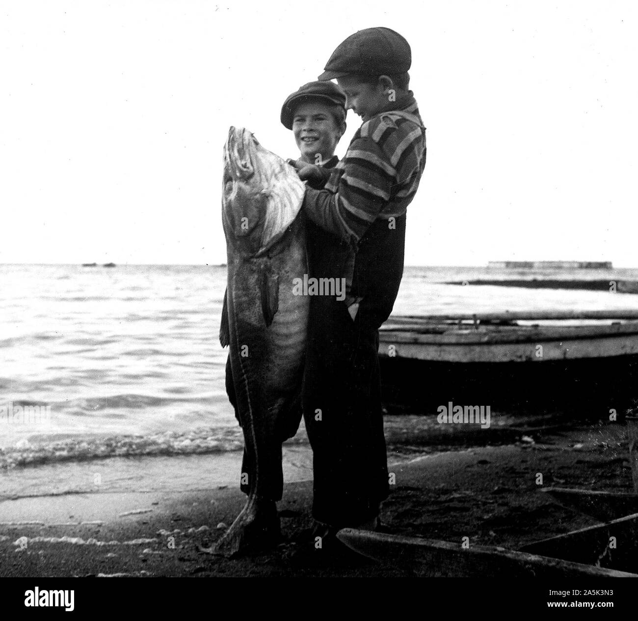 Boys holding large cod fish hi-res stock photography and images - Alamy