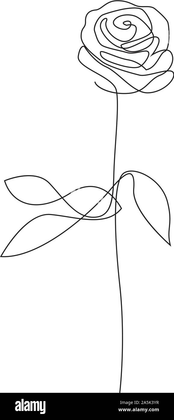 Long Stem Roses Drawings