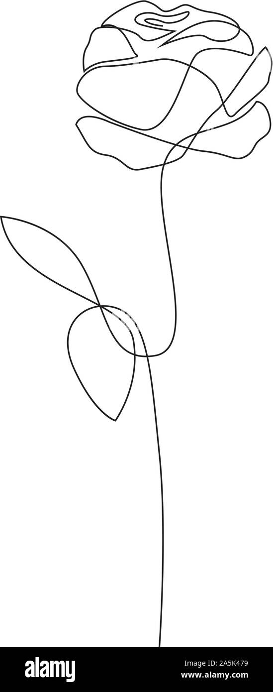 One line hand drawn rose. Long stem rose. Single line flower vector ...