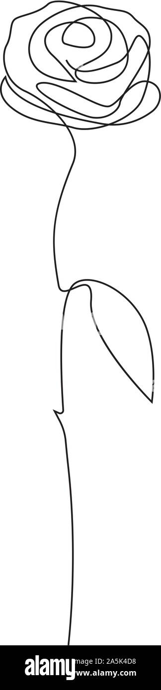 One line hand drawn rose. Long stem rose. Single line flower vector ...