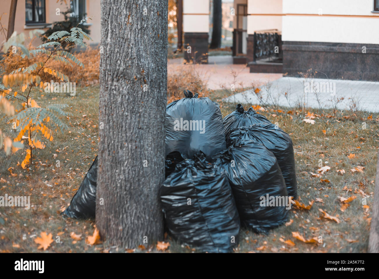 Green black plastic waste hi-res stock photography and images - Alamy