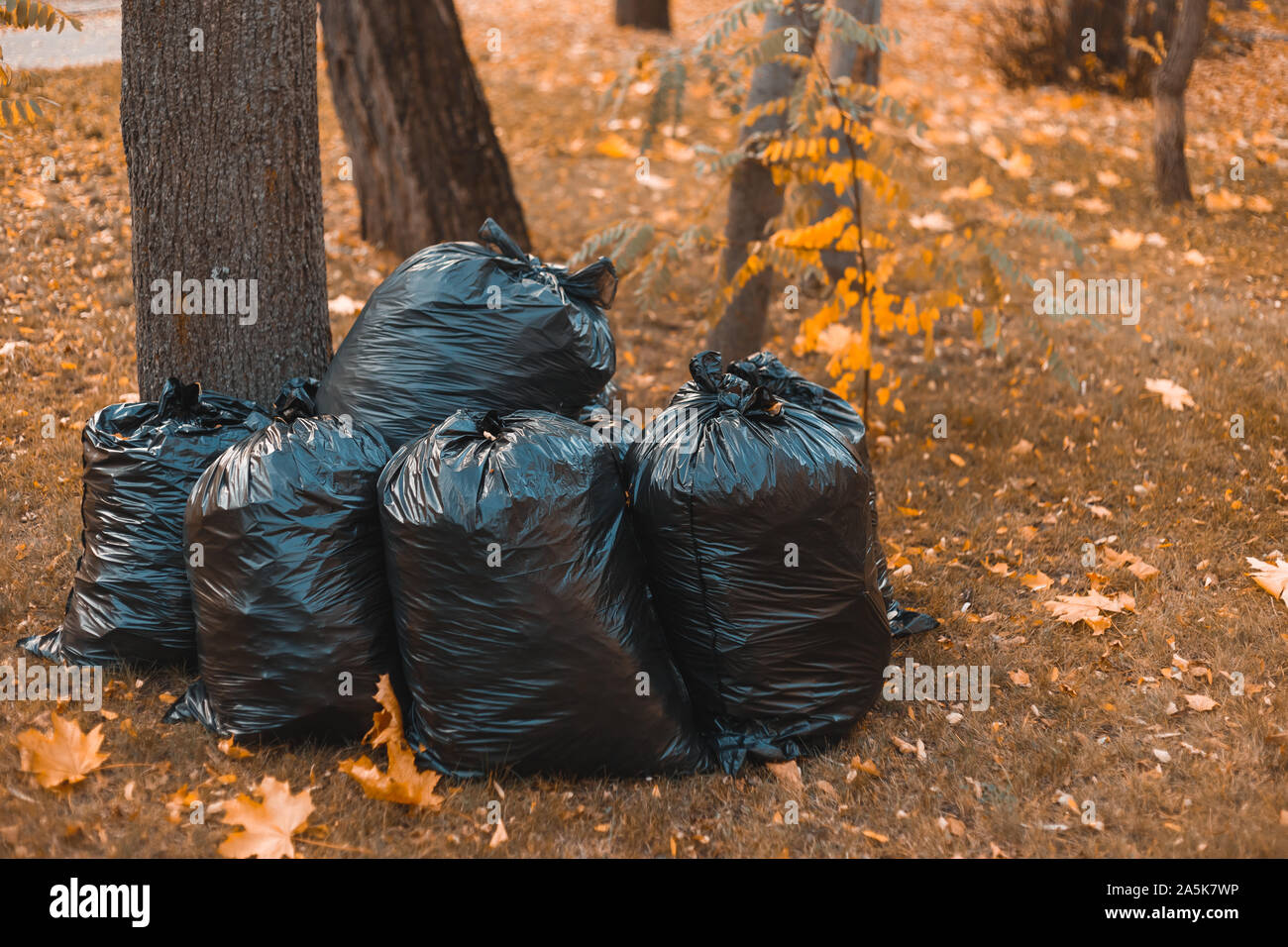 Black plastic bag tree hi-res stock photography and images - Alamy