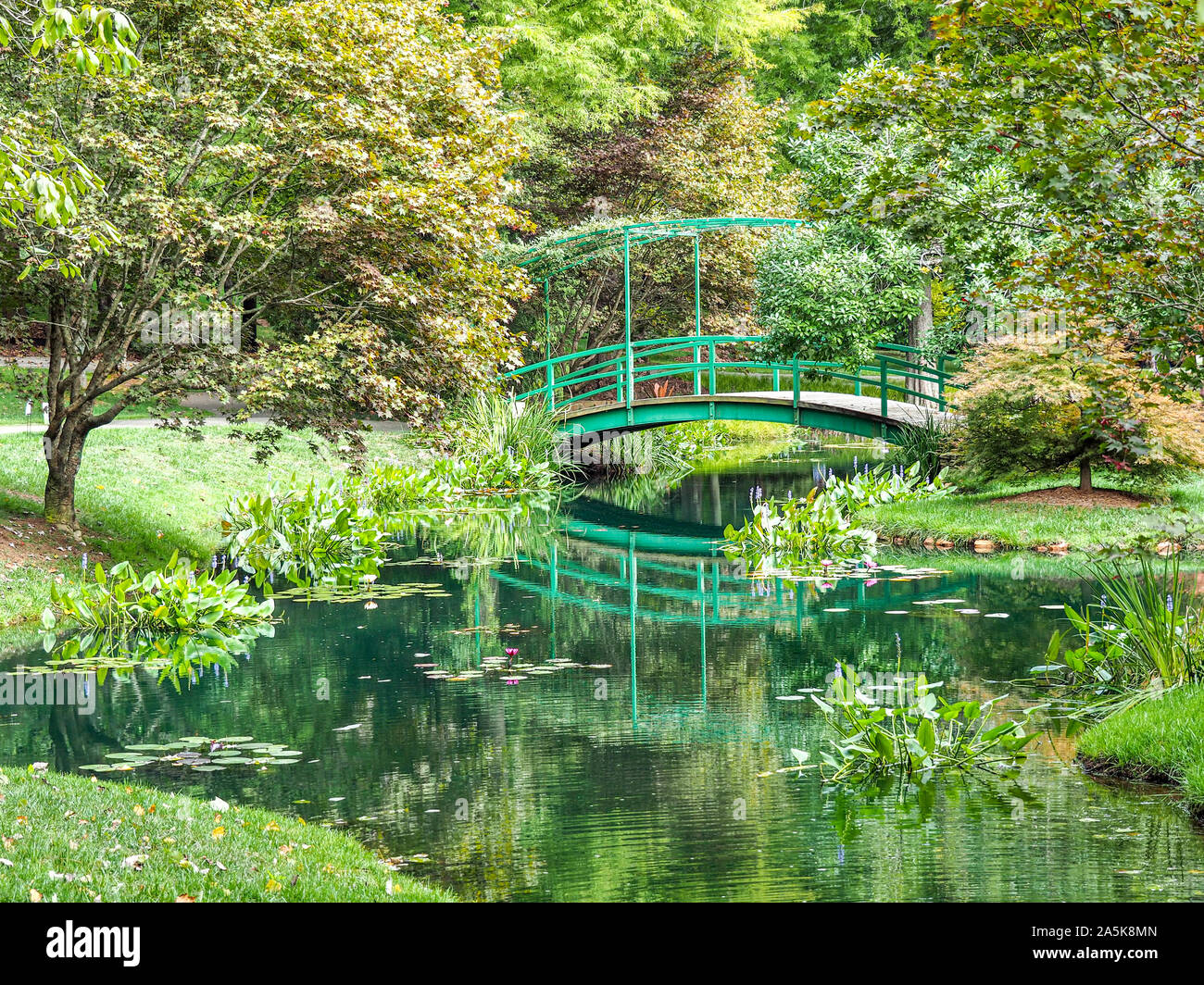 The japanese bridge the water lily pond hi-res stock photography and ...