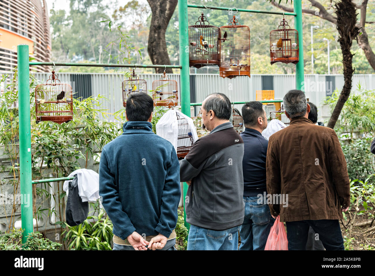 Bird enthusiasts show off their exotic birds at the Yuen Po Street Bird ...