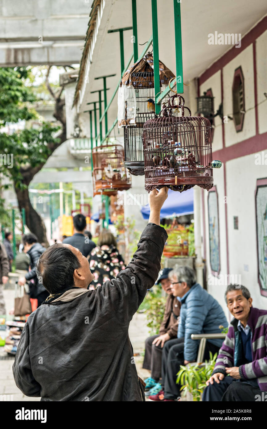 Bird enthusiasts show off their exotic birds at the Yuen Po Street Bird ...