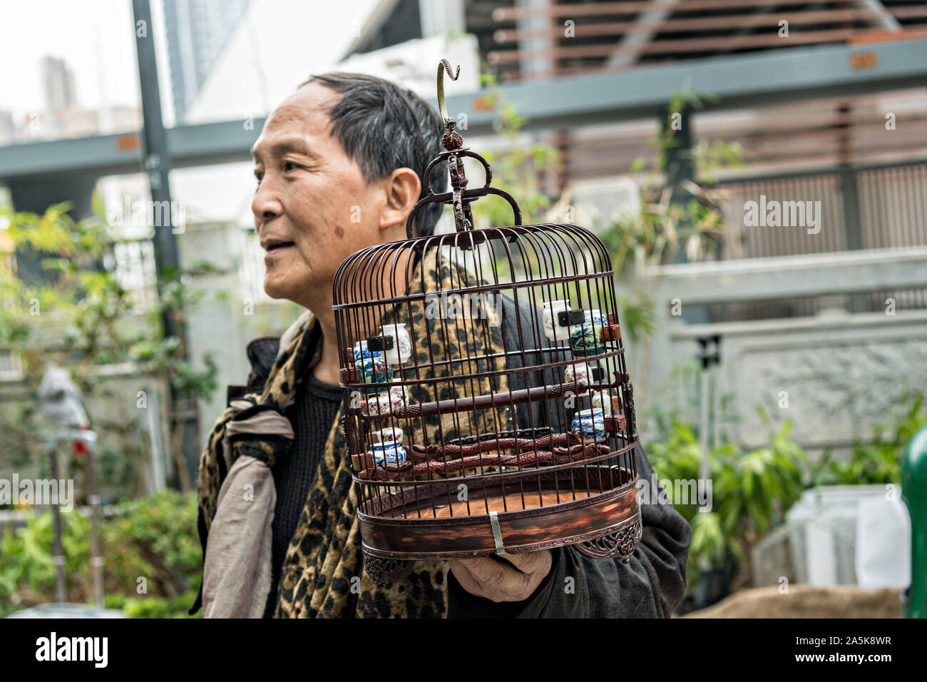 Bird enthusiasts show off their exotic birds at the Yuen Po Street Bird ...