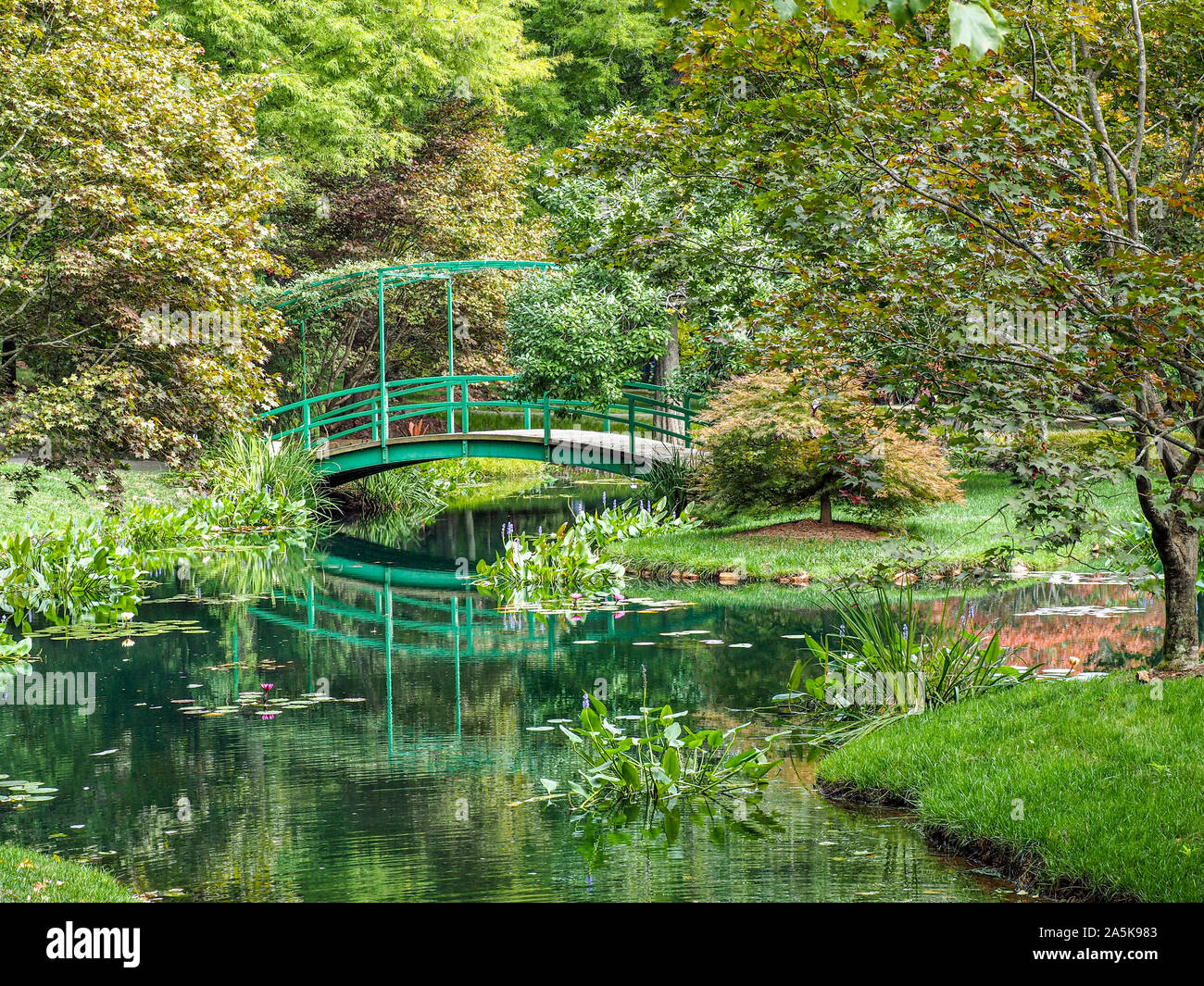 The japanese bridge the water lily pond hi-res stock photography and ...