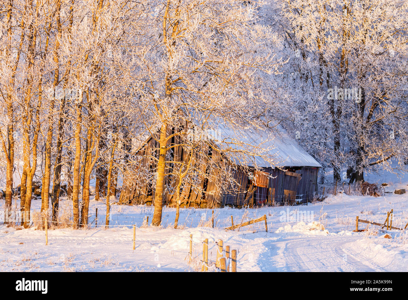 Snowy winter road by an old barn in the countryside Stock Photo - Alamy