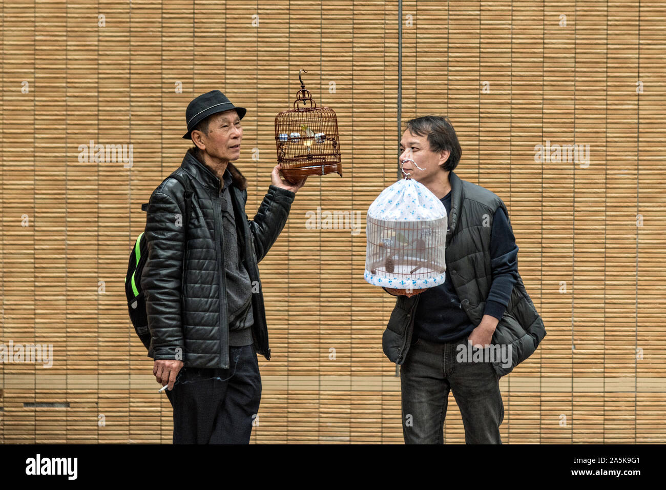 Chinese men socialize with their songbirds at the Yuen Po Street Bird ...