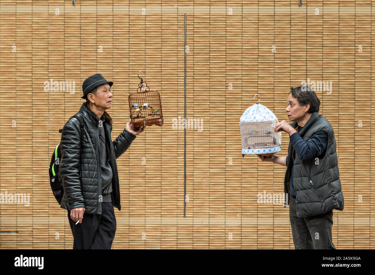 Chinese men socialize with their songbirds at the Yuen Po Street Bird ...