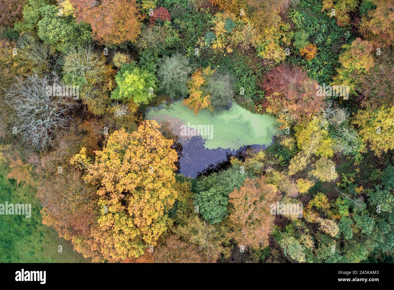 From above autumn hi-res stock photography and images - Alamy