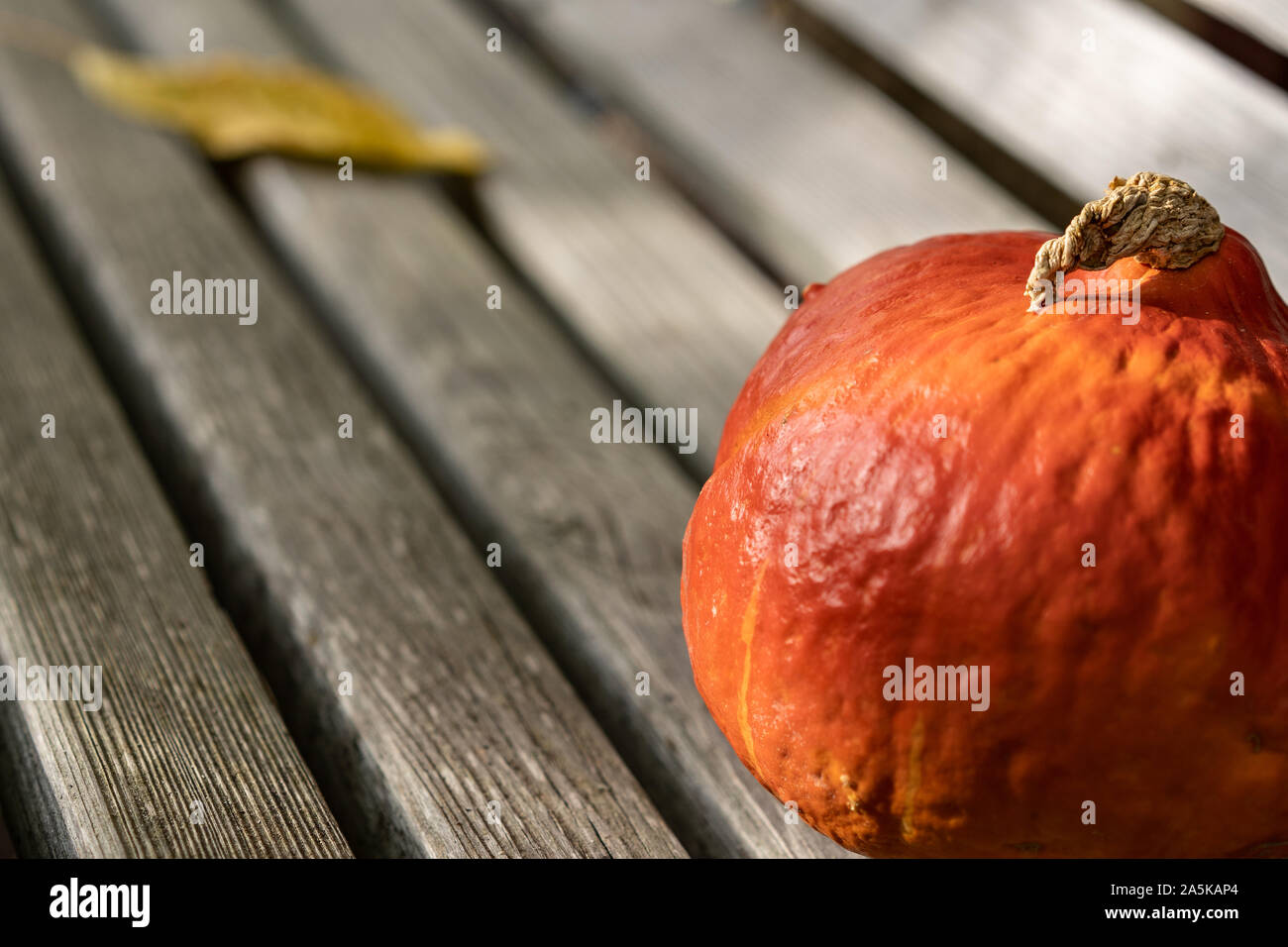 Symbols Of Fall High Resolution Stock Photography and Images - Alamy