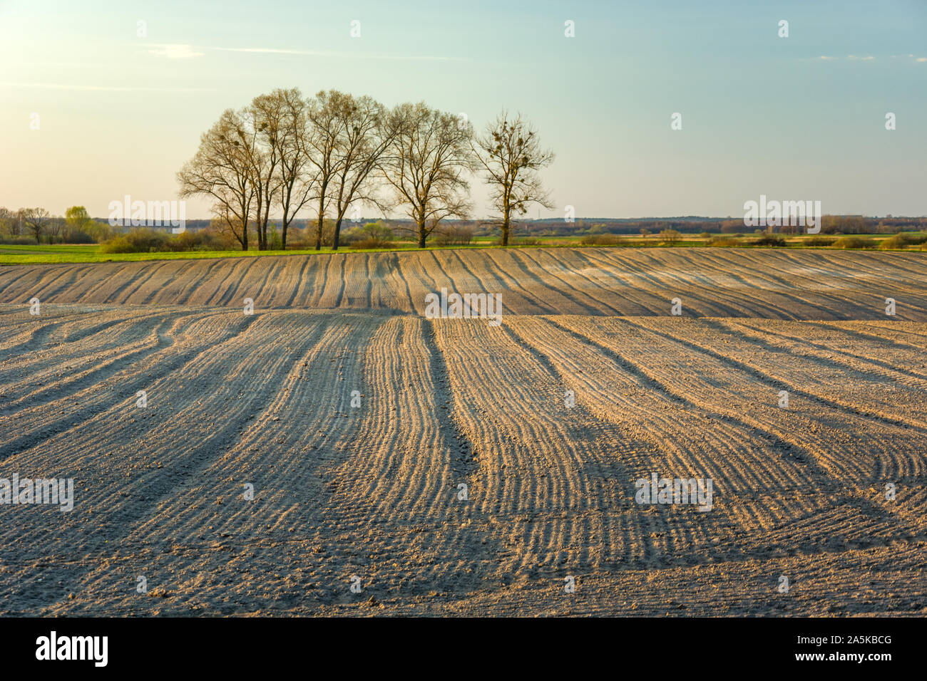 Plowed field and trees without leaves on the horizon Stock Photo - Alamy