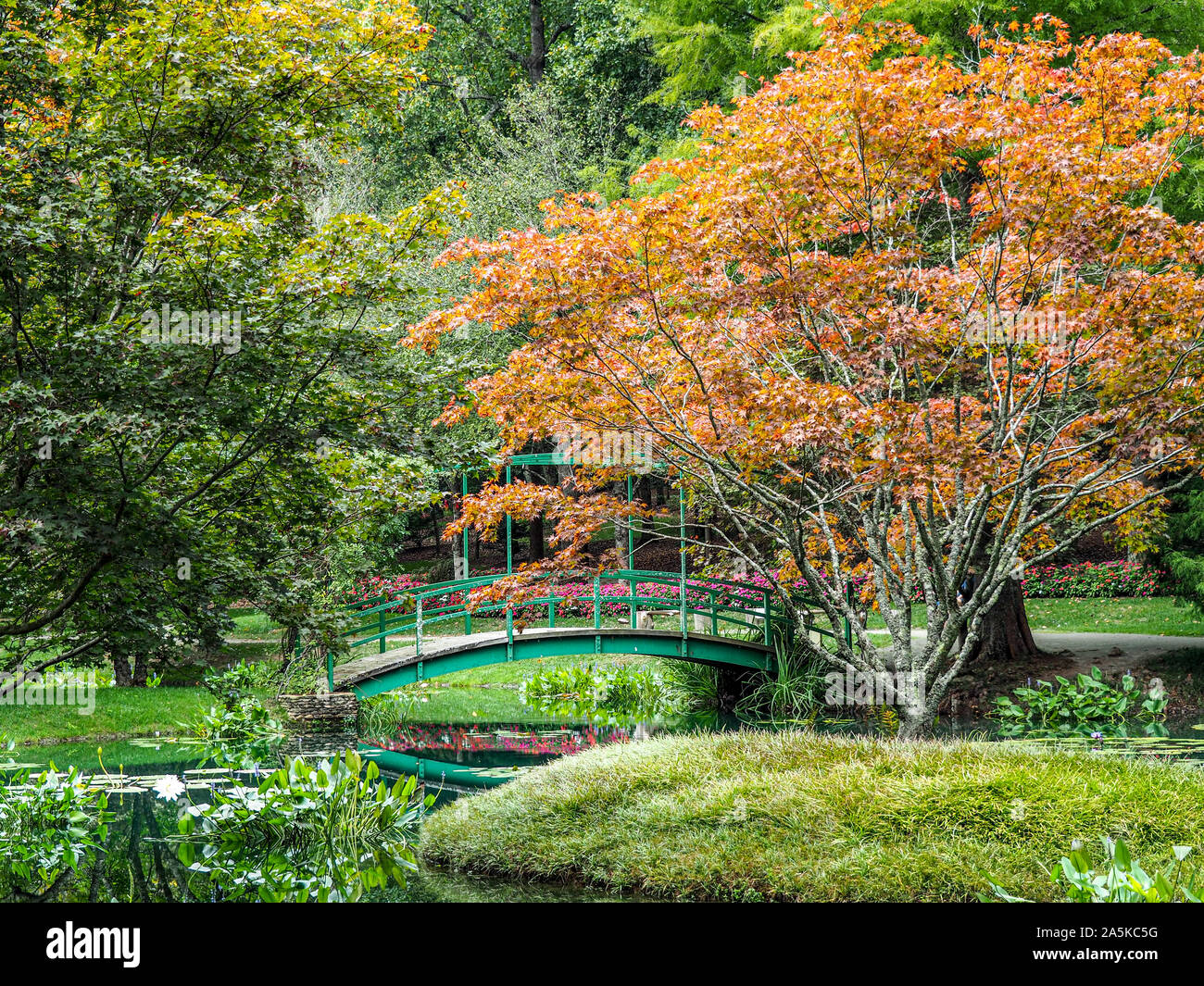 The japanese bridge the water lily pond hi-res stock photography and ...
