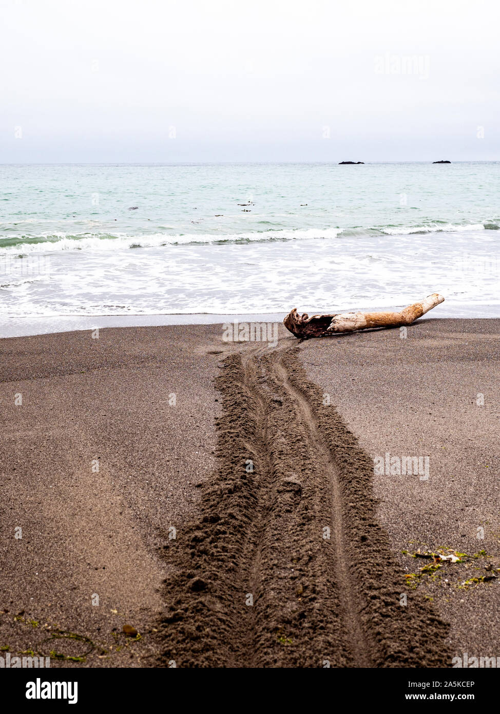 Dragged across hi-res stock photography and images - Alamy