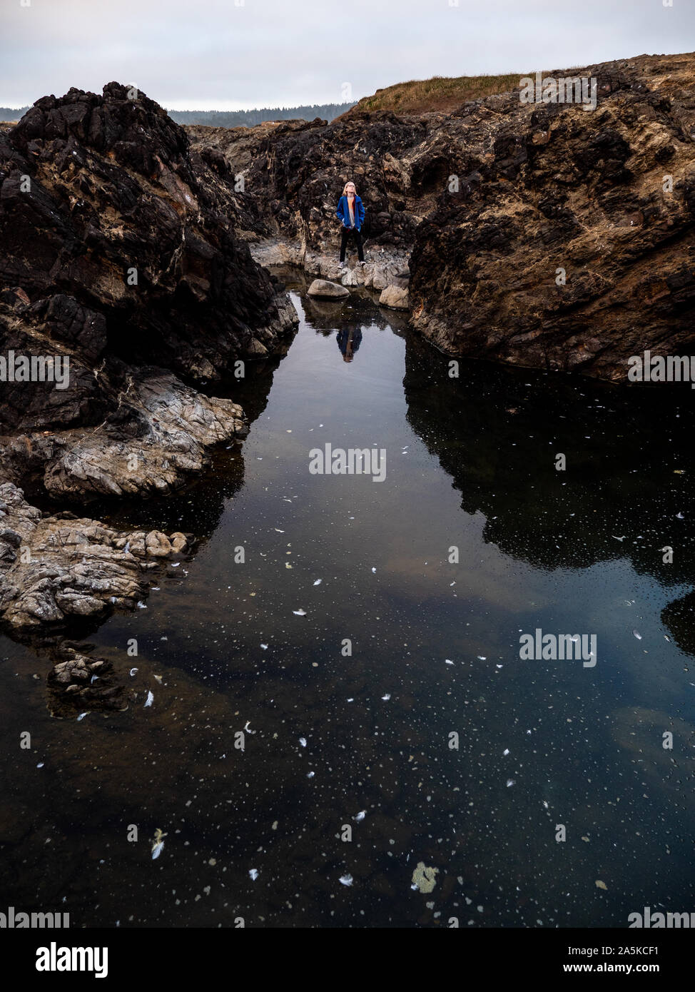 Explore tide pool hi-res stock photography and images - Alamy