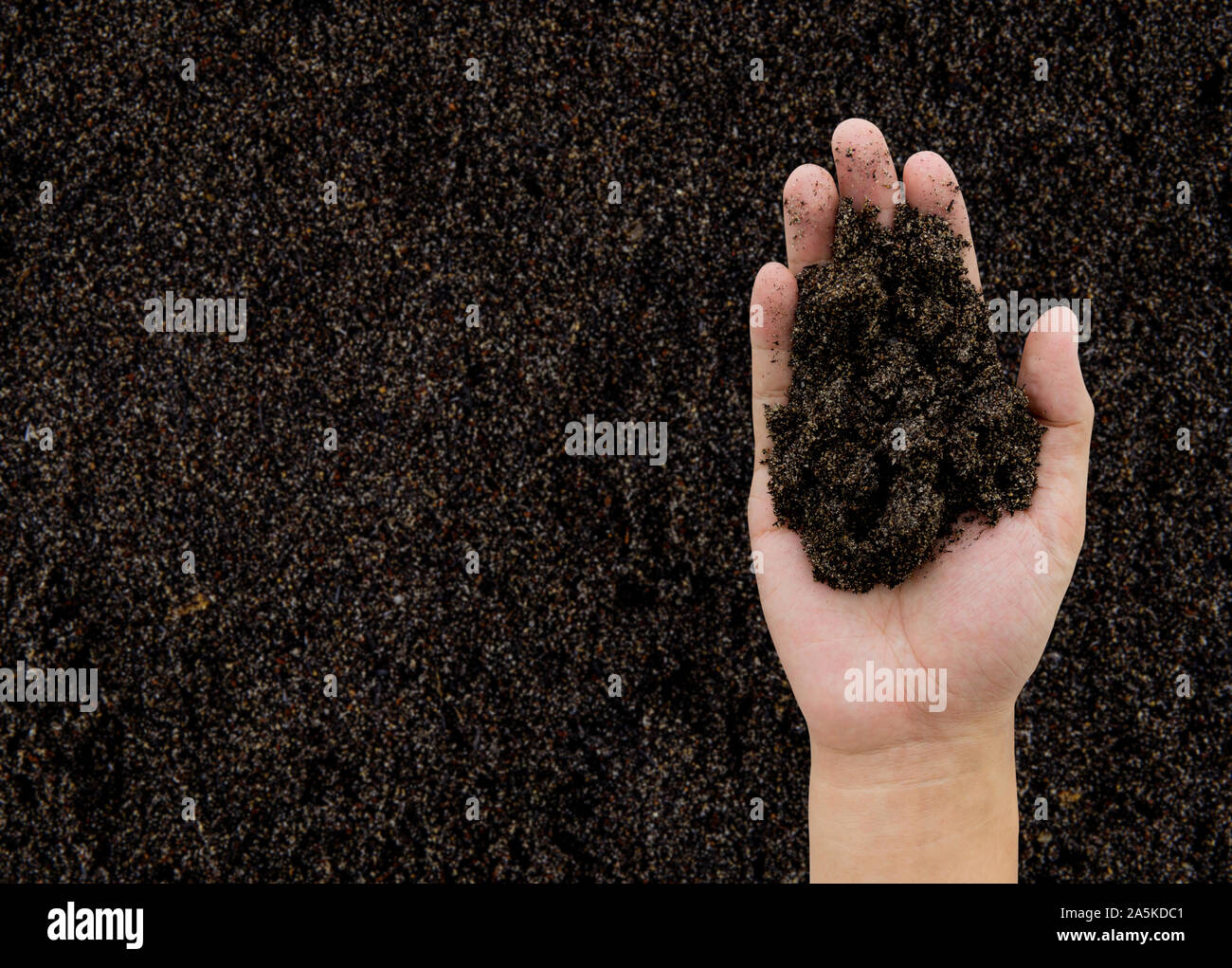 Soil in hand hi-res stock photography and images - Alamy