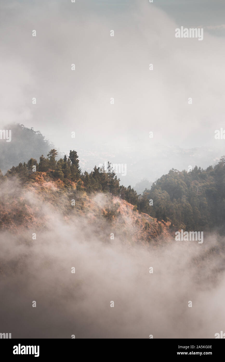 Madeira island hi-res stock photography and images - Alamy