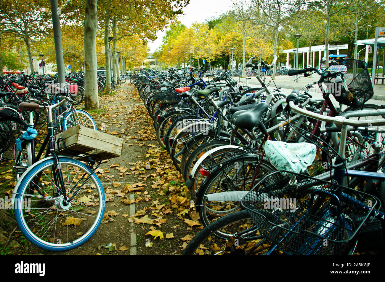 Many bicycles parking everywhere at the main station in Göttingen ...