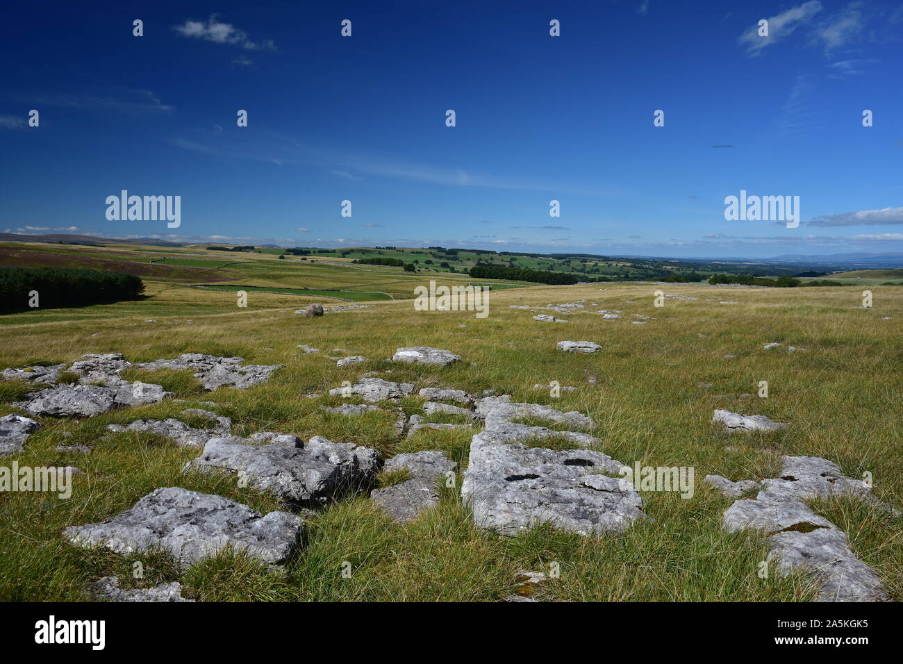 Gaythorne plain hi-res stock photography and images - Alamy