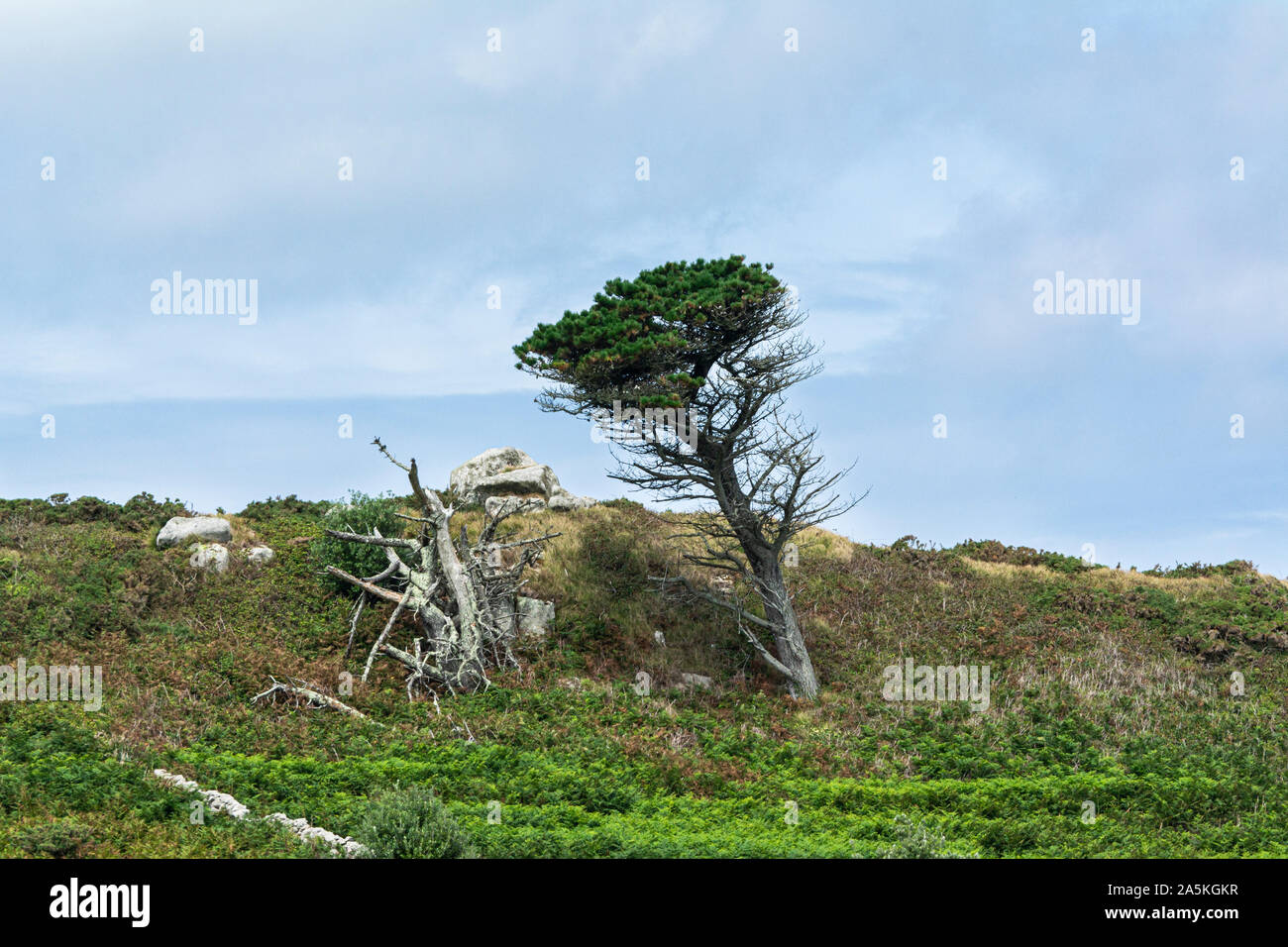 Pelistry bay scilly isles hi-res stock photography and images - Alamy