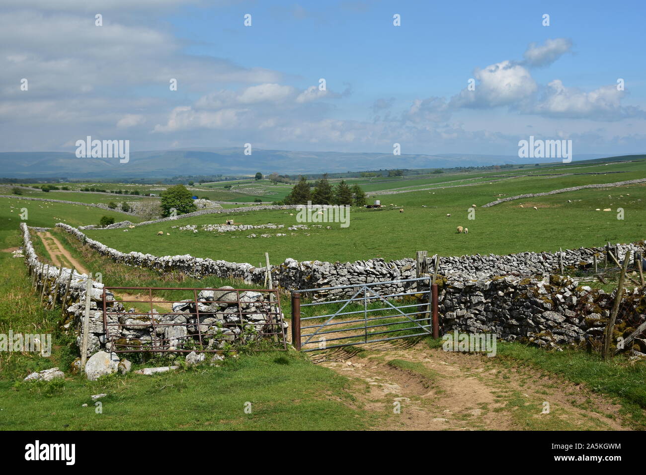 Limestone scenery, Great Asby, Cumbria Stock Photo - Alamy