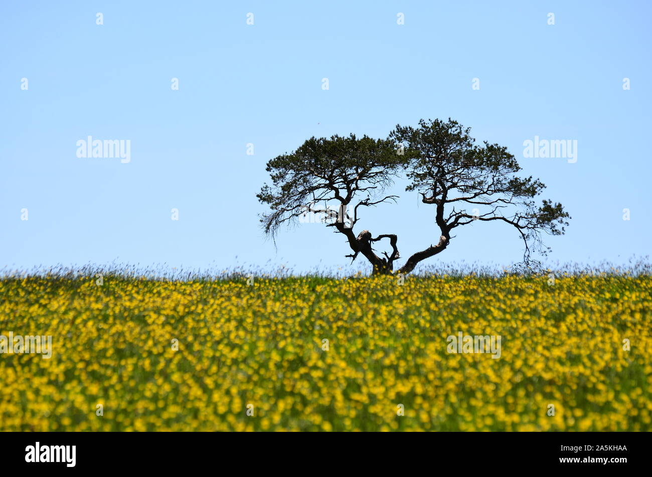 Ormside cumbria hi-res stock photography and images - Alamy