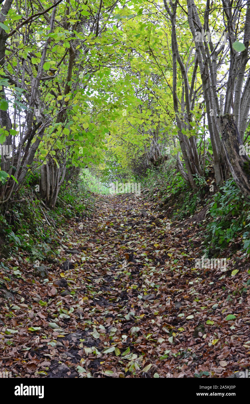 Kirkby stephen autumn hi-res stock photography and images - Alamy