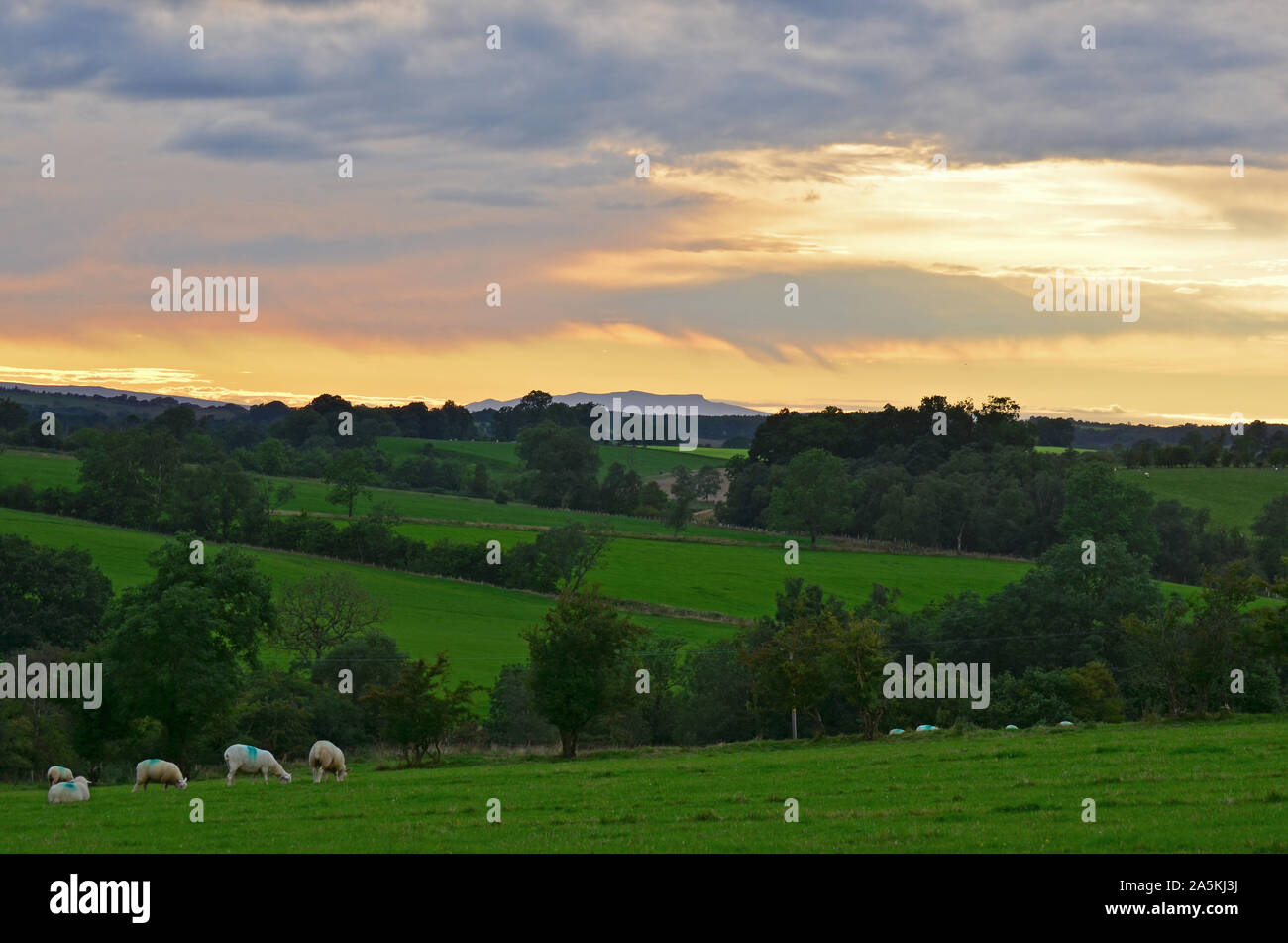 Ormside Cumbria High Resolution Stock Photography and Images - Alamy