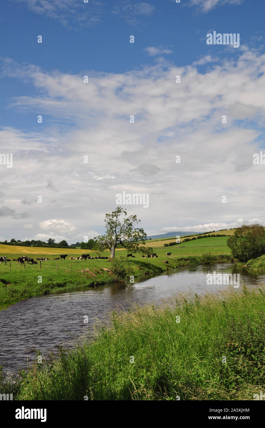 River Eden, Great Ormside 3, Cumbria Stock Photo - Alamy