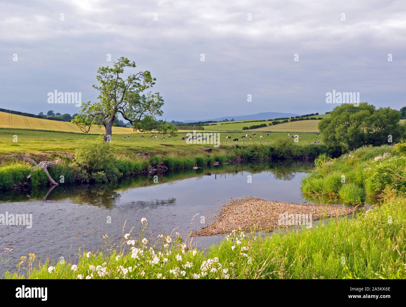 River Eden, Great Ormside in Summer Stock Photo - Alamy
