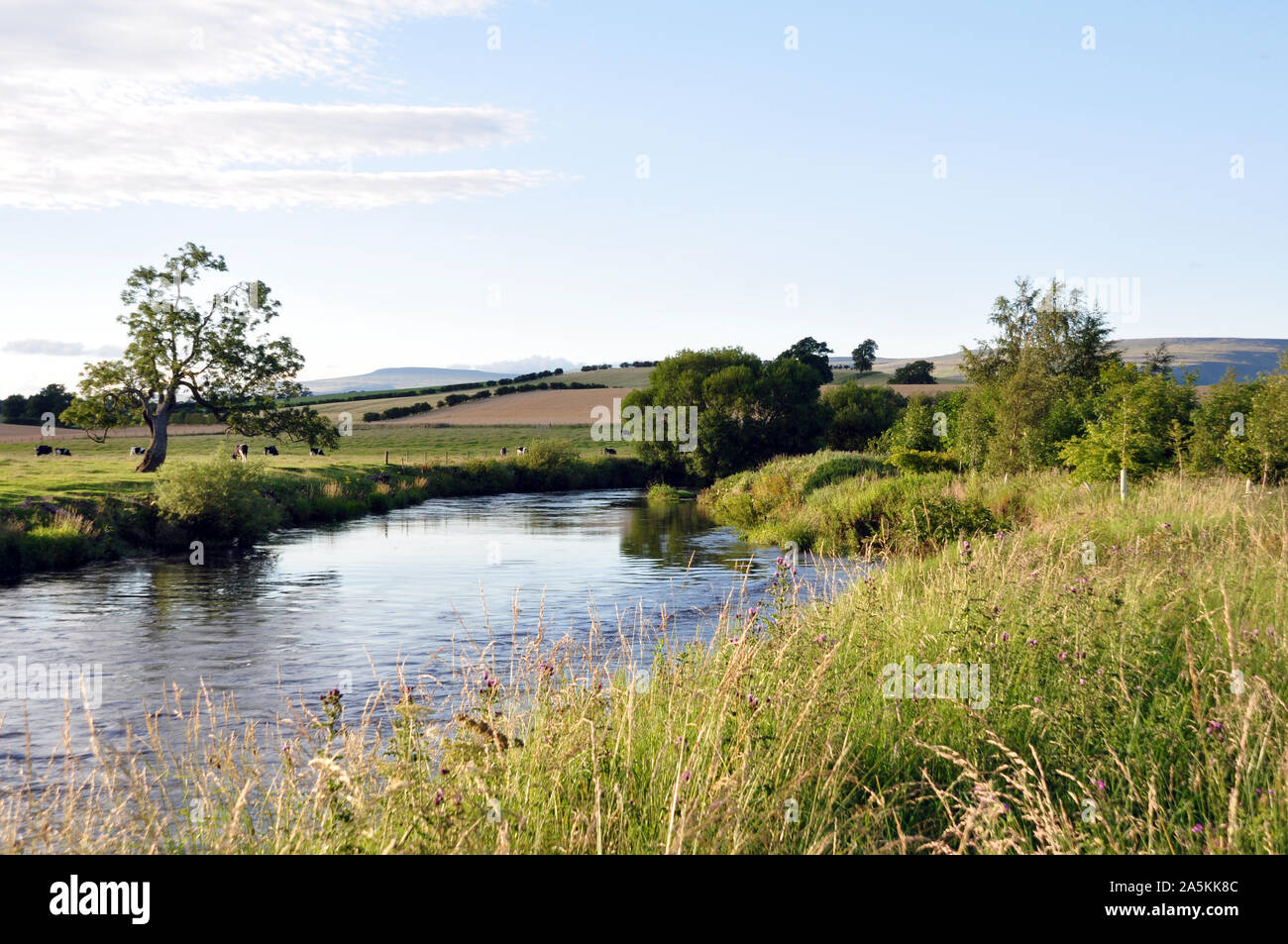 River Eden, Great Ormside, Cumbria Stock Photo - Alamy