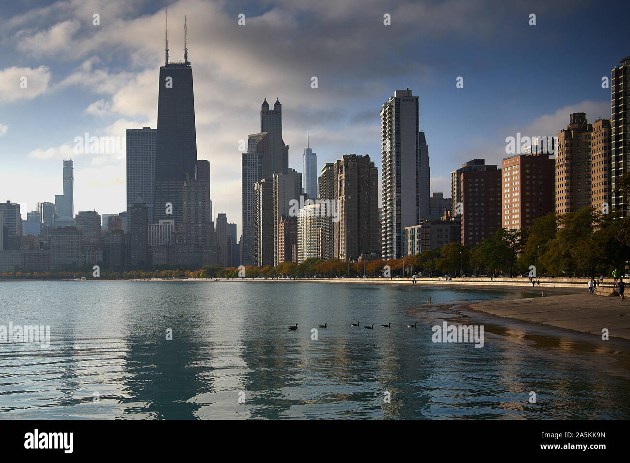Chicago skyline over calm water with birds floating Stock Photo - Alamy