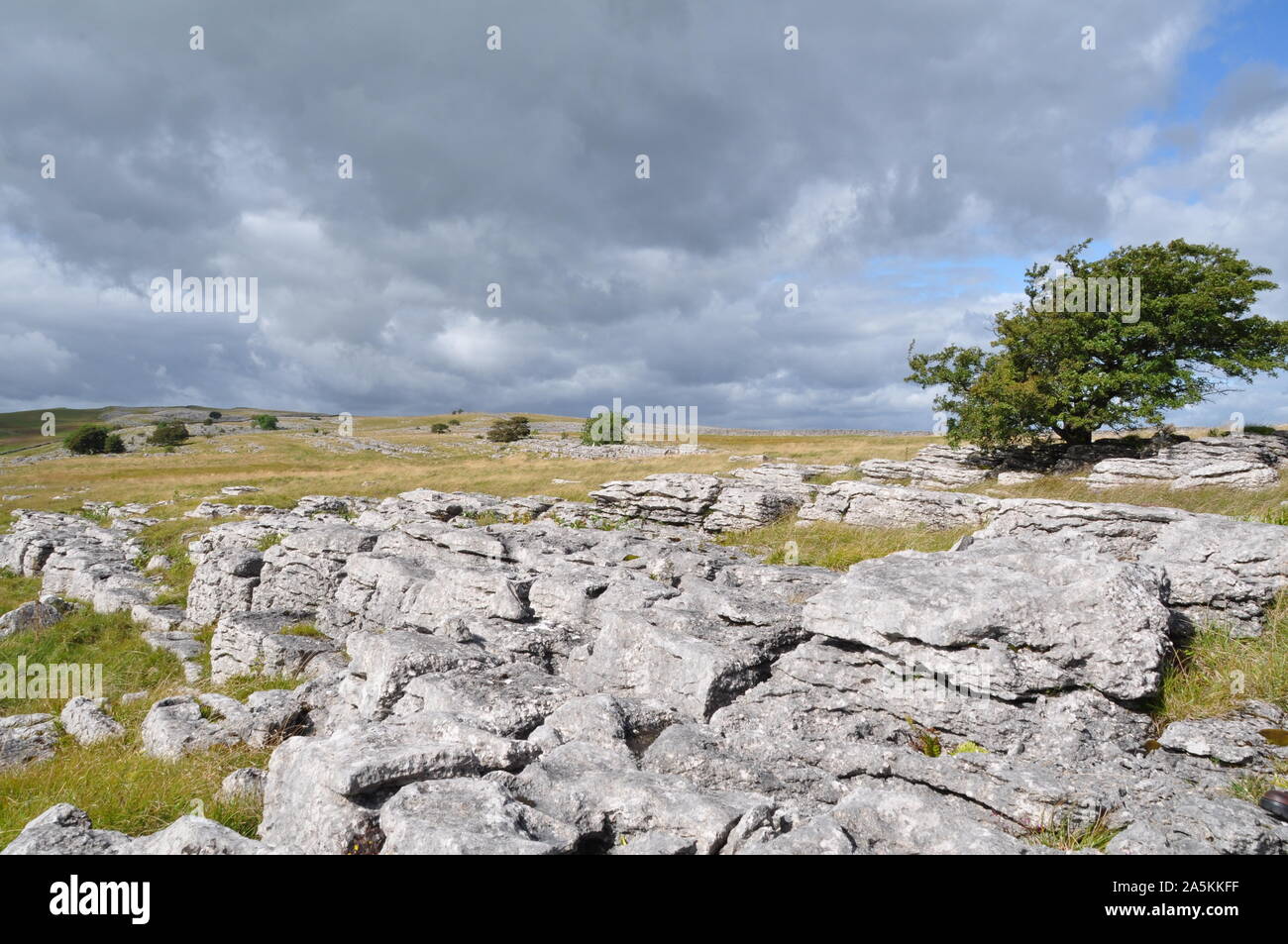 Limestone pavement, Great Asby Scar 2, Cumbria Stock Photo - Alamy