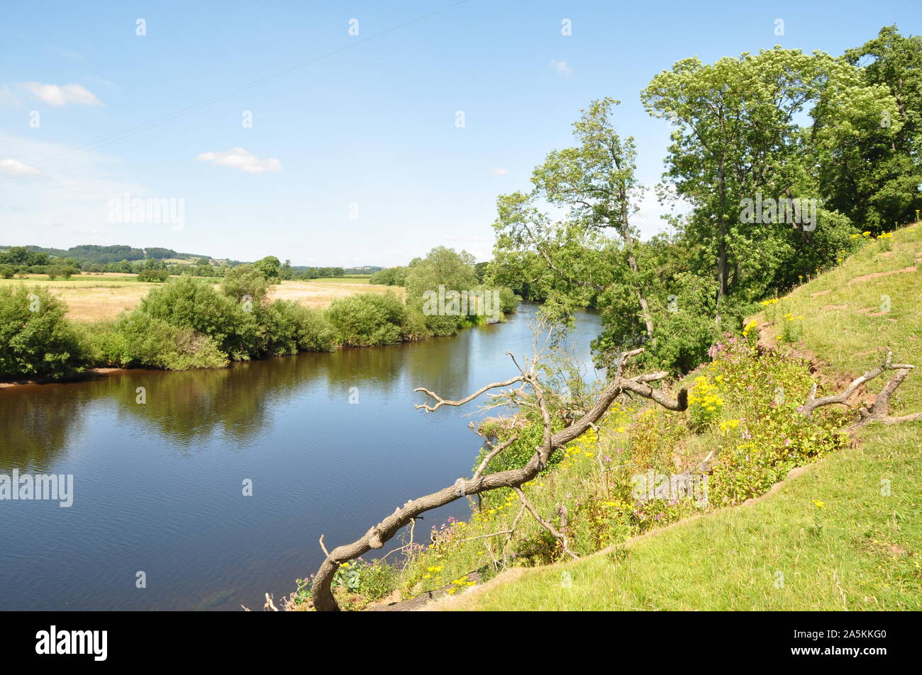 River eden cumbria hi-res stock photography and images - Alamy