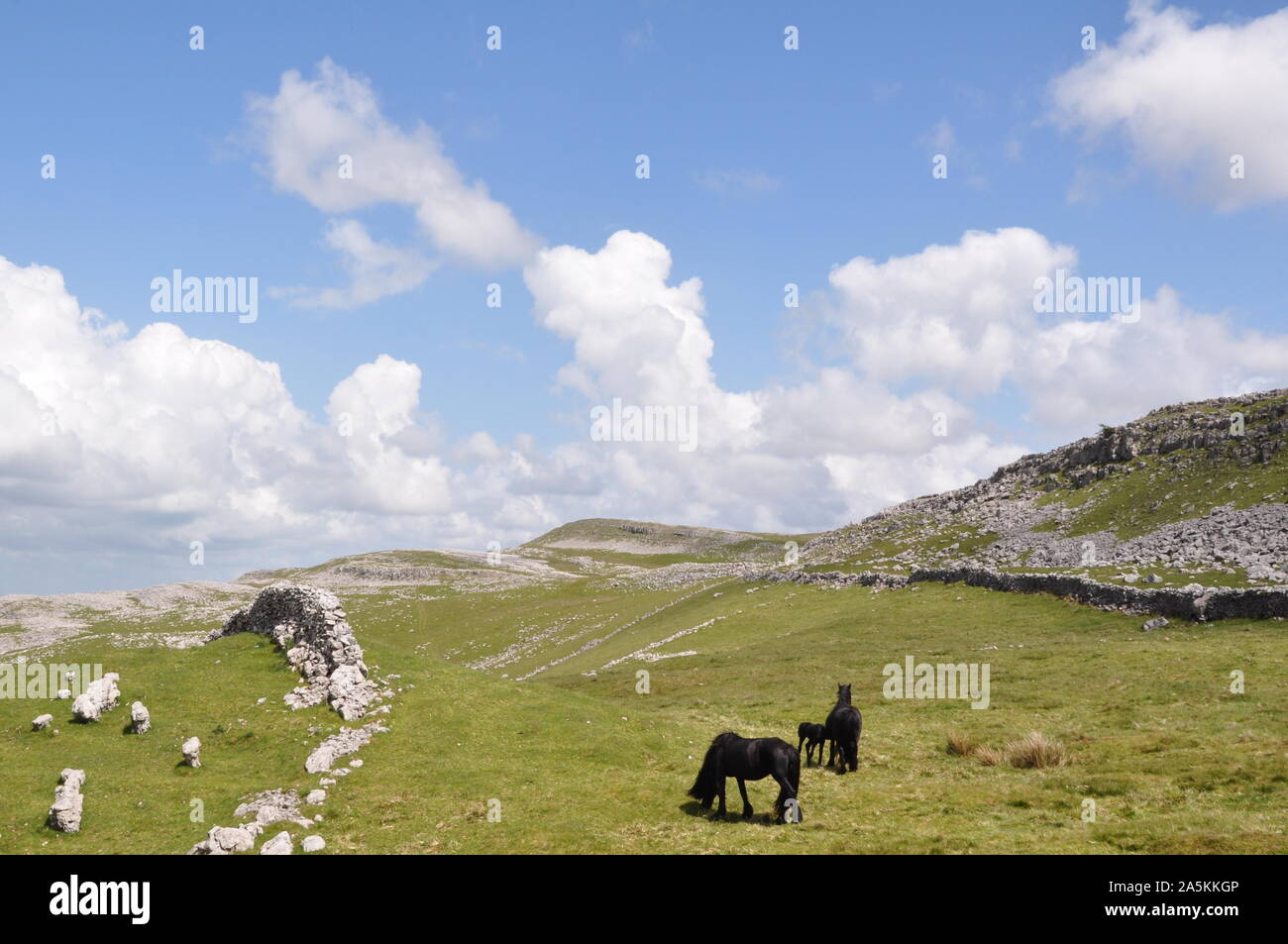 Limestone country, Stennerskeugh Clouds 3, Cumbria Stock Photo - Alamy