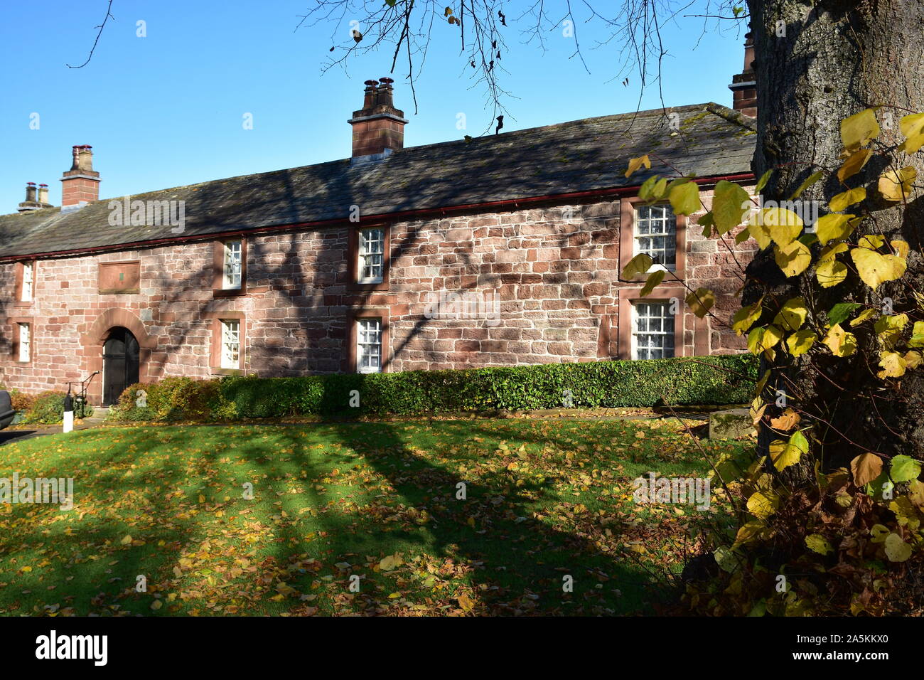 Lady anne tree hi-res stock photography and images - Alamy