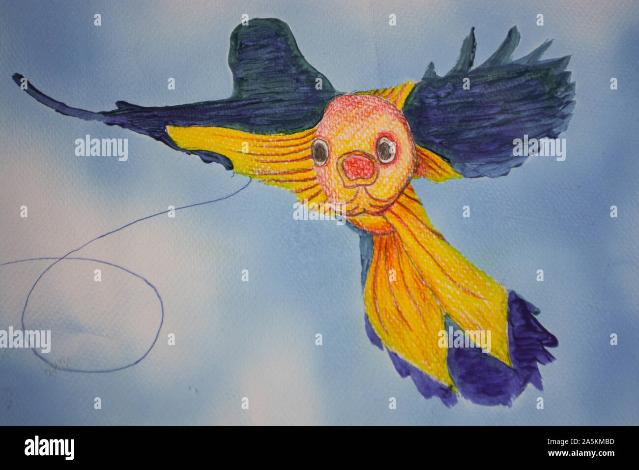 Flying goldfish hi-res stock photography and images - Alamy