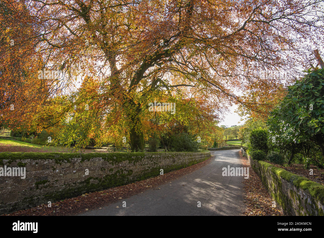 Around Hanlith Hall, Airton Stock Photo - Alamy